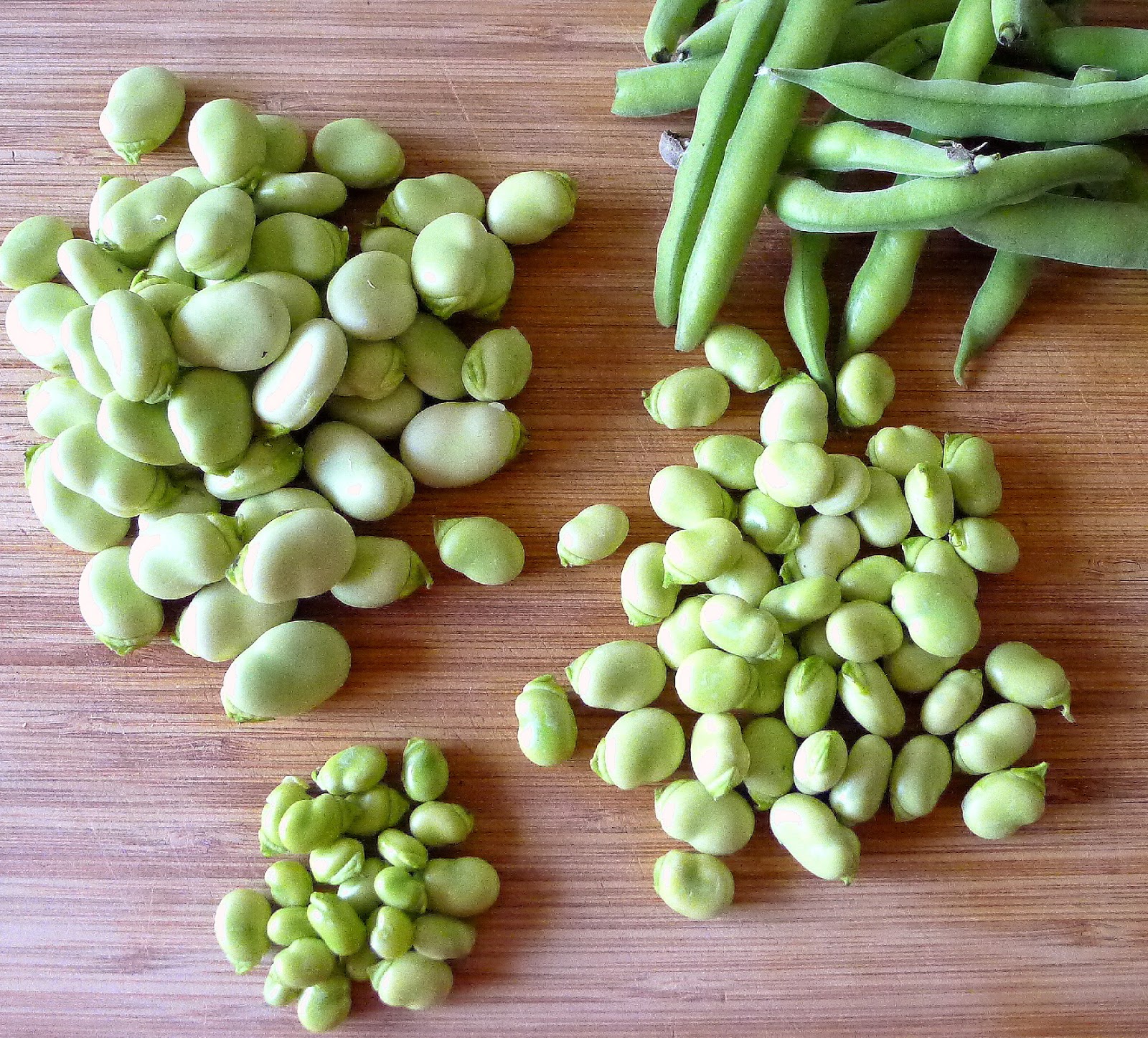 MY KITCHEN IN SPAIN: FAVA FINALE