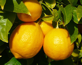 Doryce's Recipes & Jeff's Garden: Lemon filled Meringues