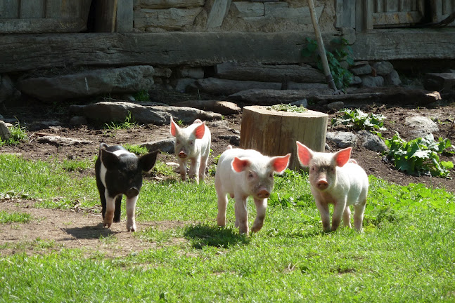 Claudiu MOGA -blog de aventuri cicloturistice: Tura superba in M ...