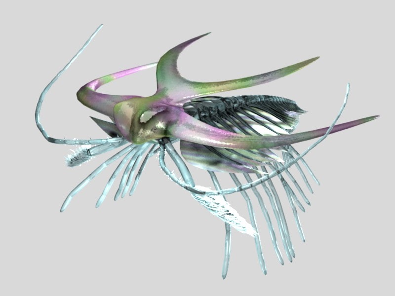 Life Before the Dinosaurs: Marrella.