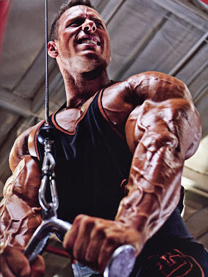 Knights of Bodybuilding: MICHAEL LIBERATORE