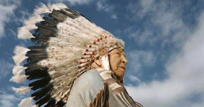 White Wolf : Dances with Wolves actor Chief David Bald Eagle walks on at 97