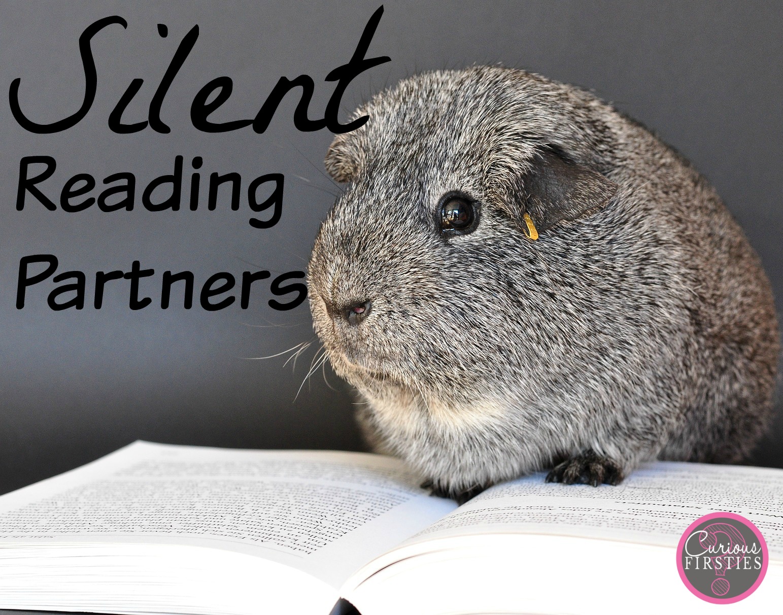 Silent Reading Partners Adventures In Literacy Land silent-reading-partners-adventures-in-literacy-land