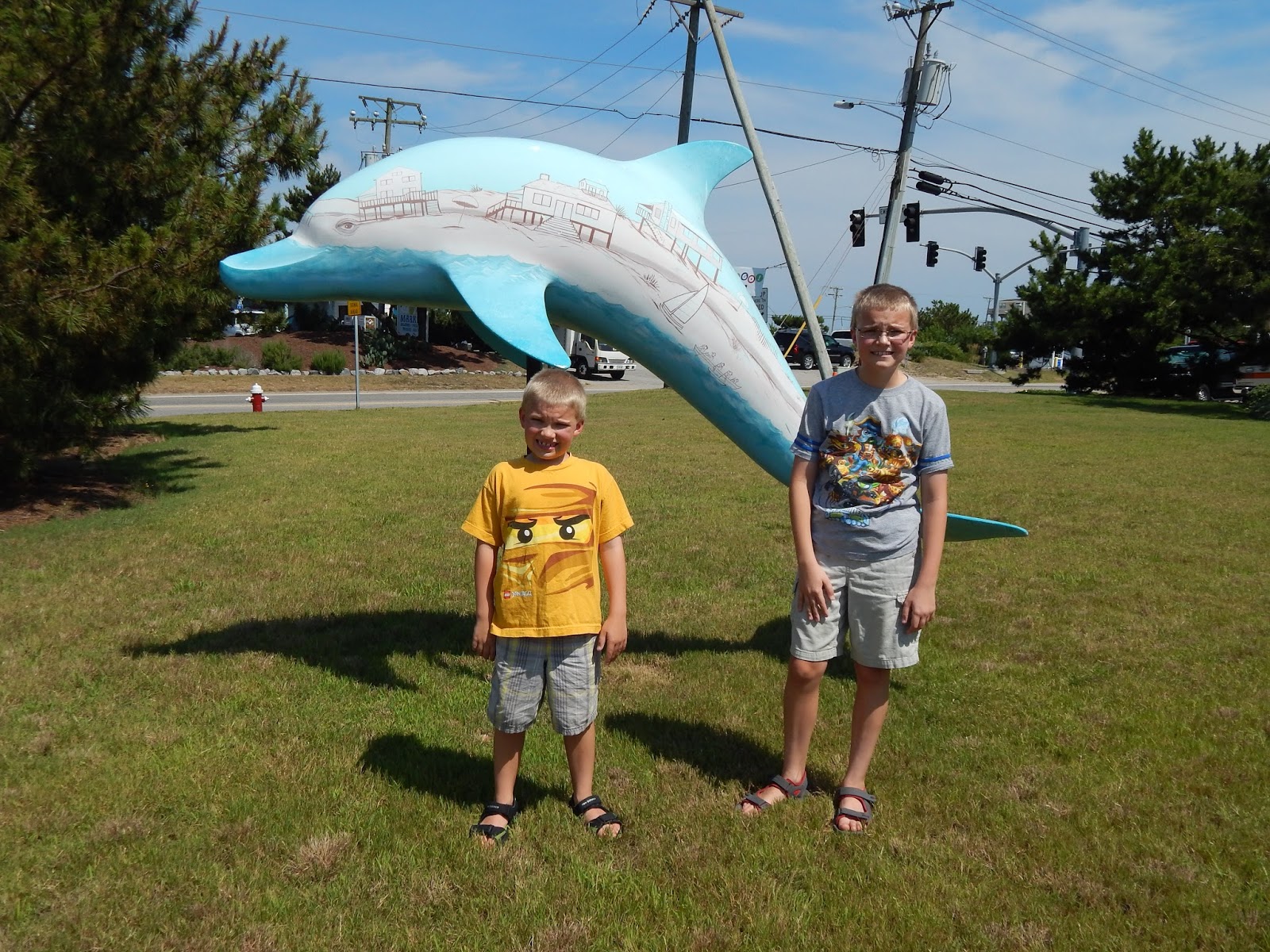 The Great Virginia Beach Dolphin Quest