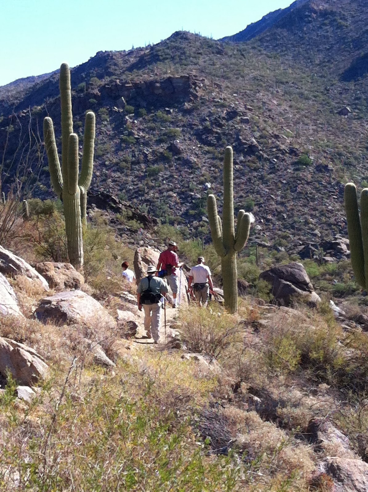 A NOVICE HIKER - TRAILS AND TRIALS: Wild Burro and Lower Javelina ...