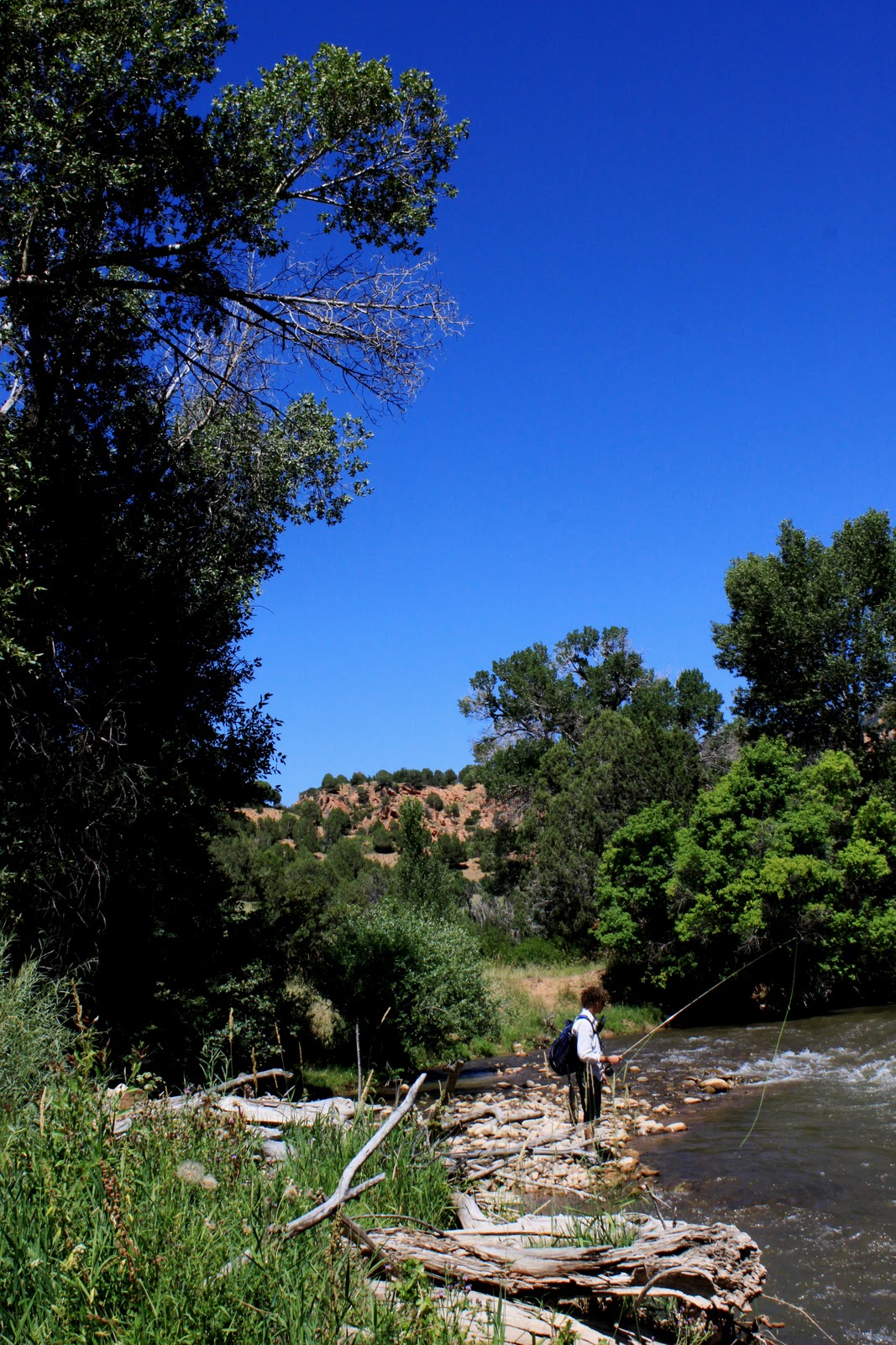 River Tales: Diamond Fork Utah