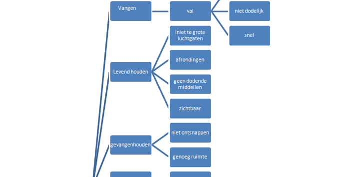 IPO opleiding door Utku: Functieboom Muizenval