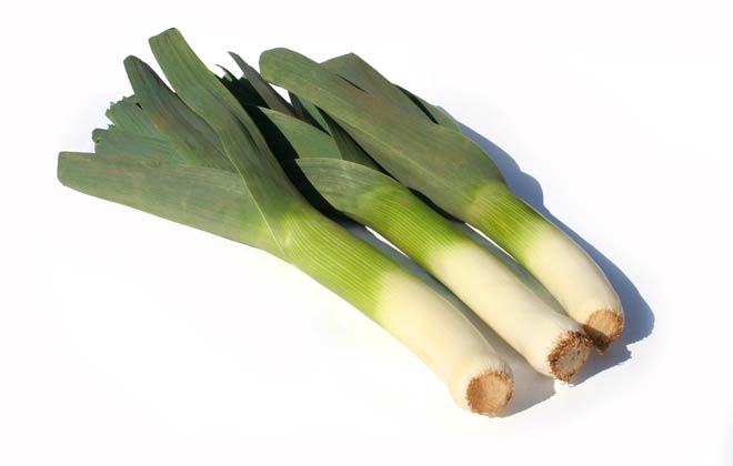 English with Terry: 3/1/17