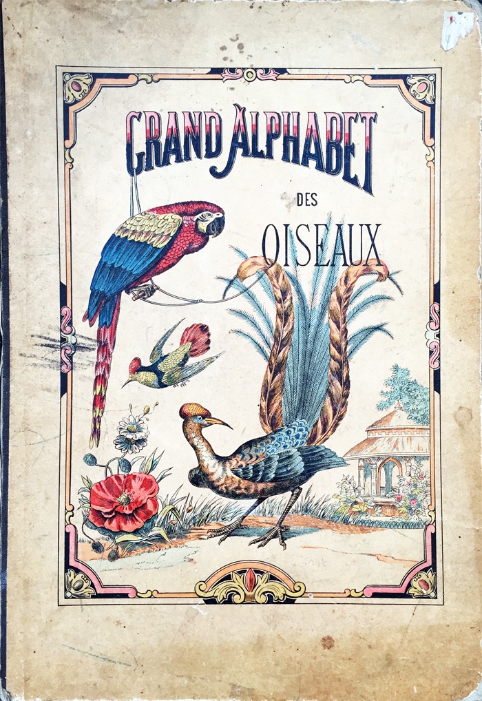 My Vintage Avenue: Grand Alphabet des oiseaux, a beautiful and rare ...
