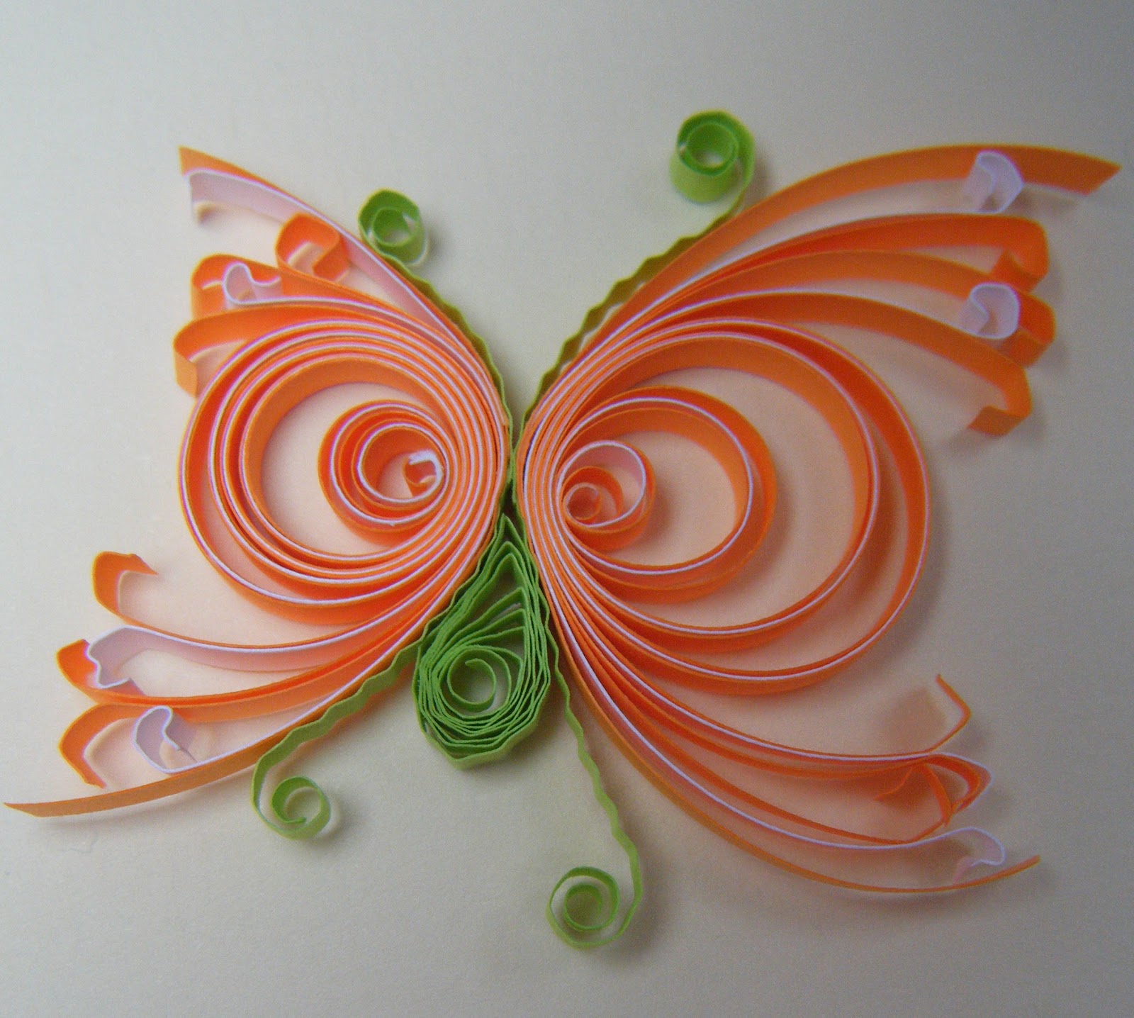 Quilliance: An eccentric, asymmetric butterfly!