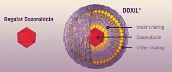 The Science of Innovation: DOXIL (doxorubicin hcl liposome injection)