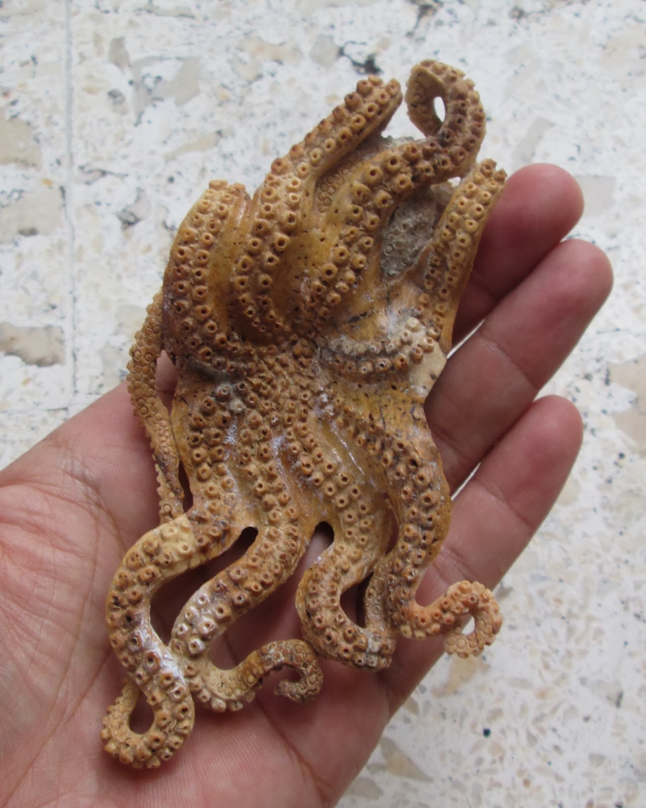 Octopus Bone Carving, Special Carving - Bone Pendants | Bone Carving ...