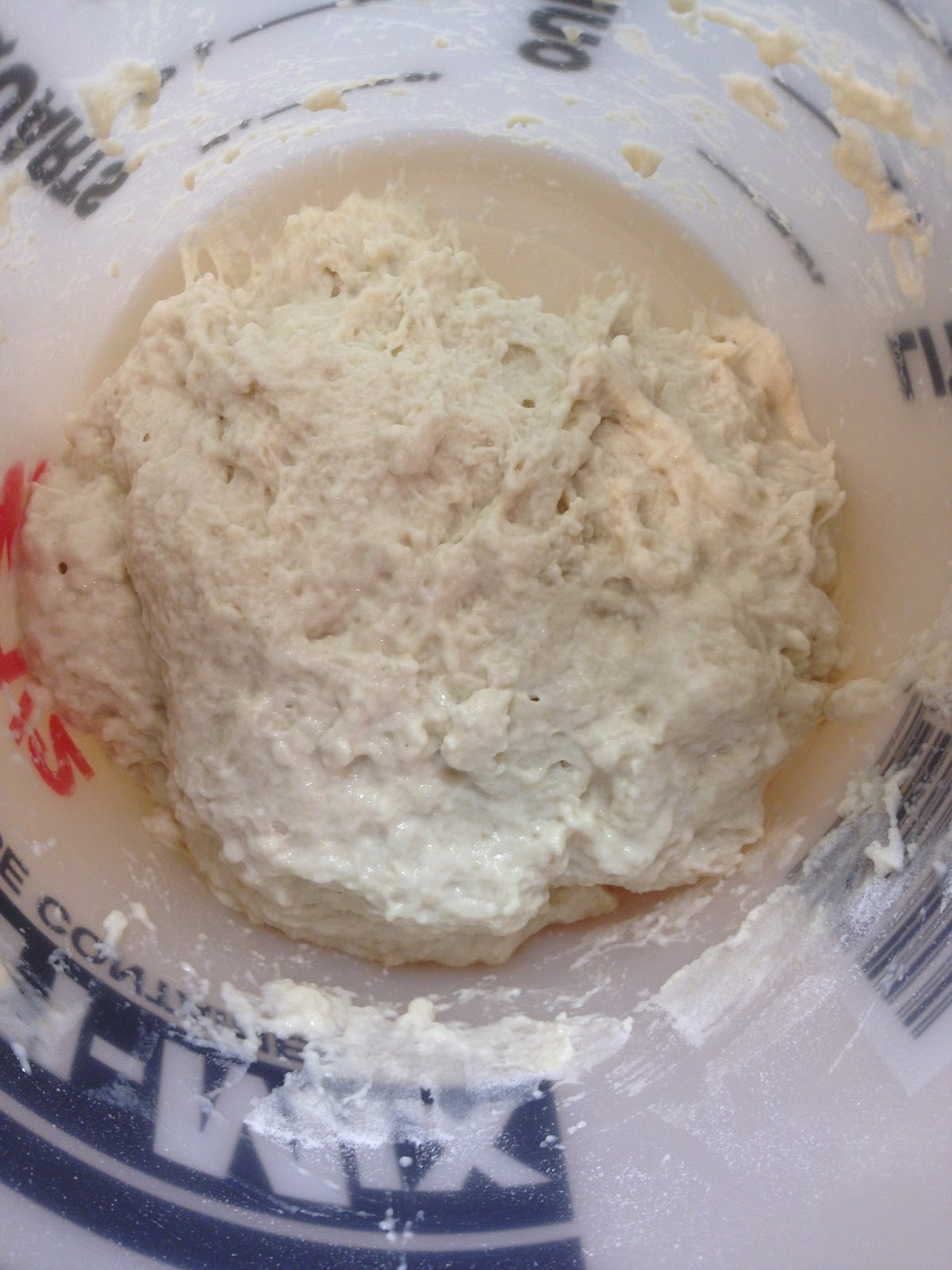 Tracy Cooks in Austin: Single Italian Crusty Loaf