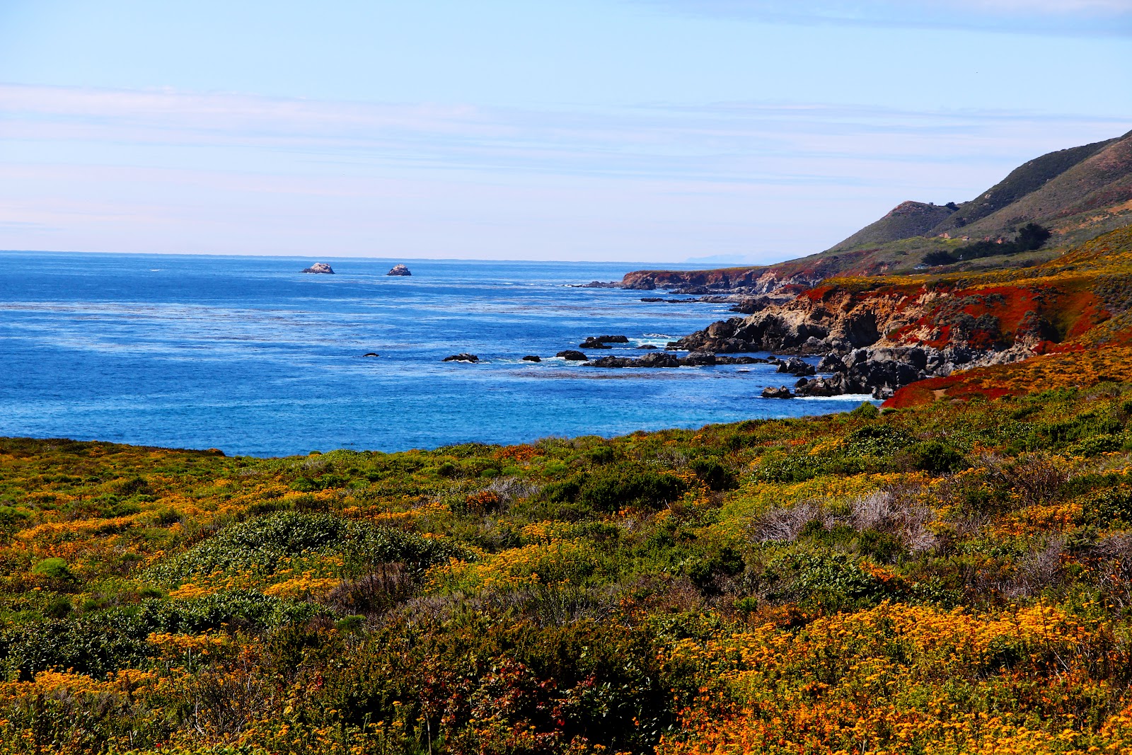 Team Mueller: Tues: Coastal Conquest the Prelude / @ Alameda Island