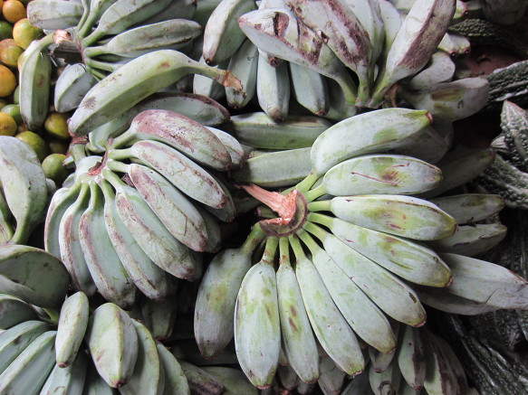 Collana eXoterica COSMO FRUTTARIANO: CARPOTECNIA: ricetta RISOTTO DI ...