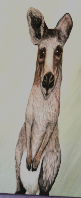 creating western port: Creating Western Port Exhibition