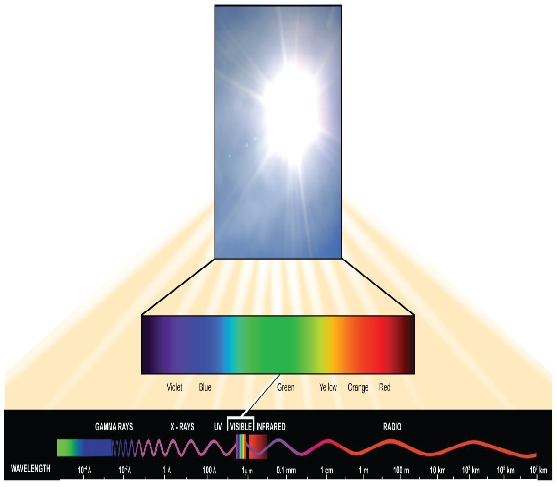 Lets Go Blog (Science, Technology and Information): THE LIGHT-DEPENDENT ...