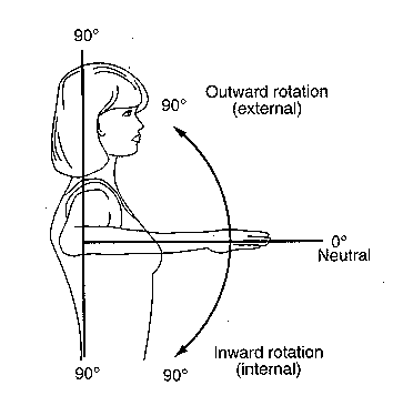 Biokinetic Golf Swing Theory: The Arms Situation -- the Most Important ...