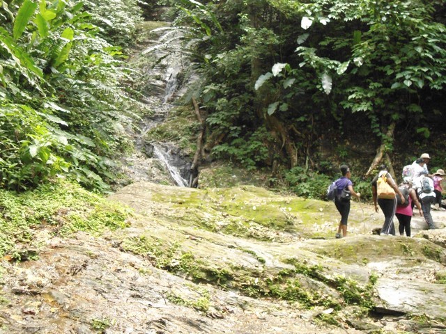 Stephen in Trinidad: Maracas Falls