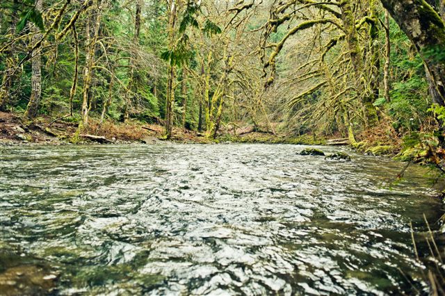 Chevy Stevens: ALWAYS WATCHING PHOTO # 14