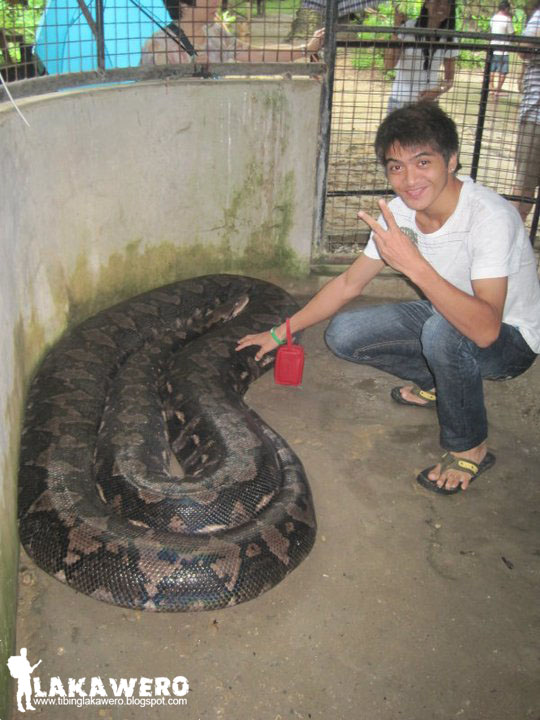 Lakawero: Lakawero Meets Prony the Python at Bohol