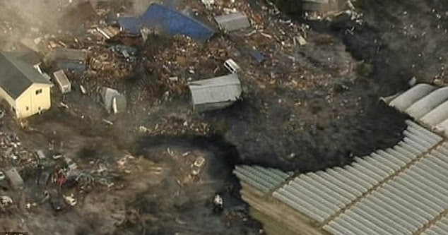 TenguLife: The curious guide to Japan: The orphan tsunami of The Pacific