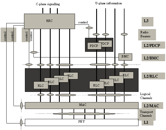 WRAN: WRAN Protocol Stack