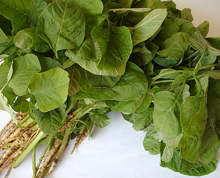 Khasiat Buah Untuk Kesehatan: Khasiat Bayam Untuk Kesehatan