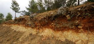 EDAFOLOGÍA: La Edafología