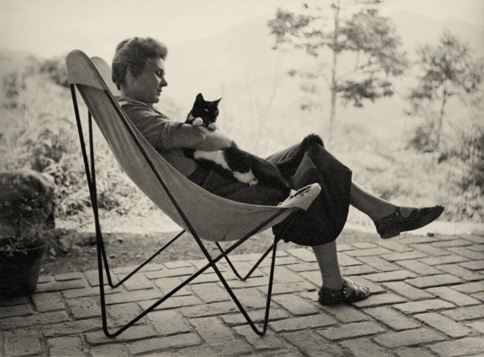 Elizabeth Bishop - uma cartografia poética | Templo Cultural Delfos