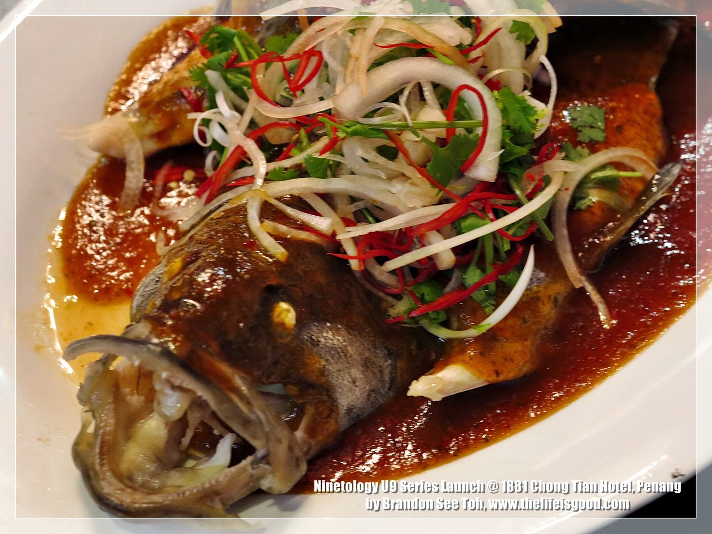 My LIFE, Food & Travel Experience ~ Malaysia, Taiwan & the World ...