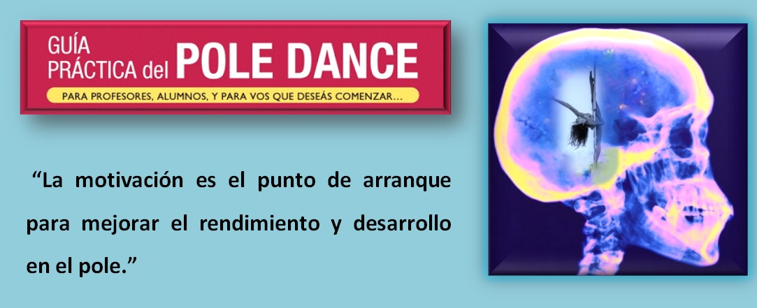 Guía Práctica del Pole Dance: La motivación es el punto de arranque ...
