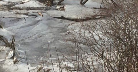 Train de nuit: La rivière Noire à Roxton Falls