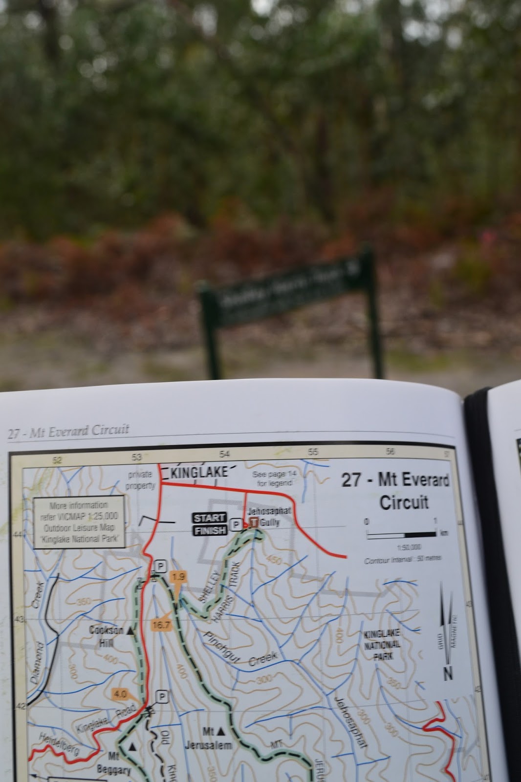 Goin' Feral One Day At A Time: Mt Everard Circuit, Kinglake National ...