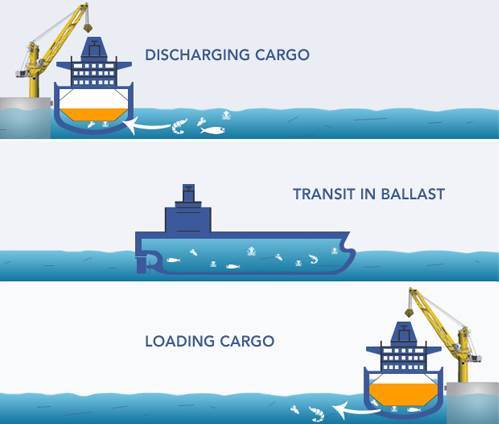 French Vocabulary Illustrated: lest