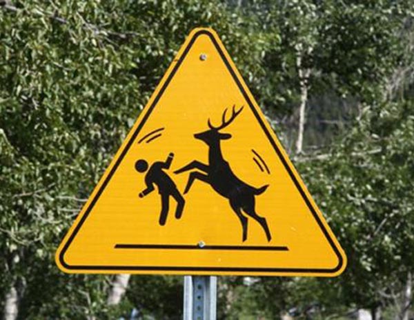 Free Amazing Images: 56 Zoo Signs And Travel Signs