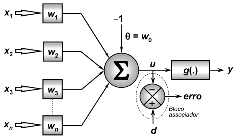 ADALINE : RED ADALINE