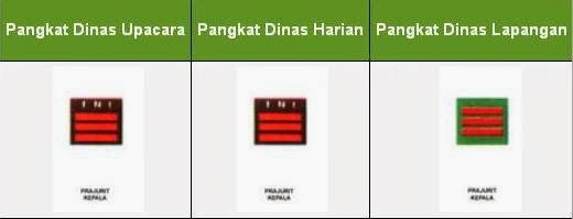 Catatan Rupa-Rupa: Tanda Pangkat Tentara RI dan AS