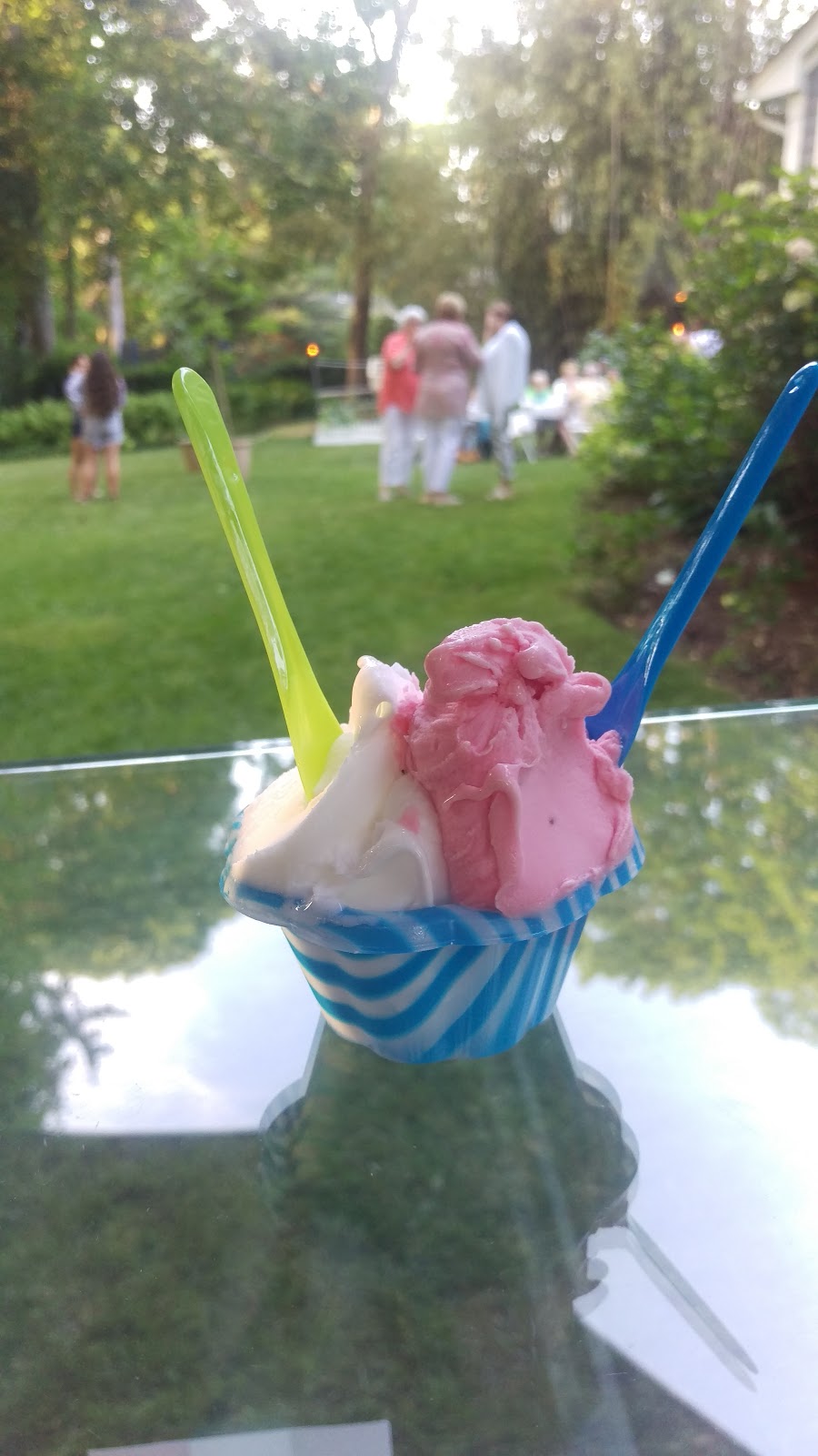 Gelato Catering Cart Long Island-Weddings, Birthday Parties, Corporate ...