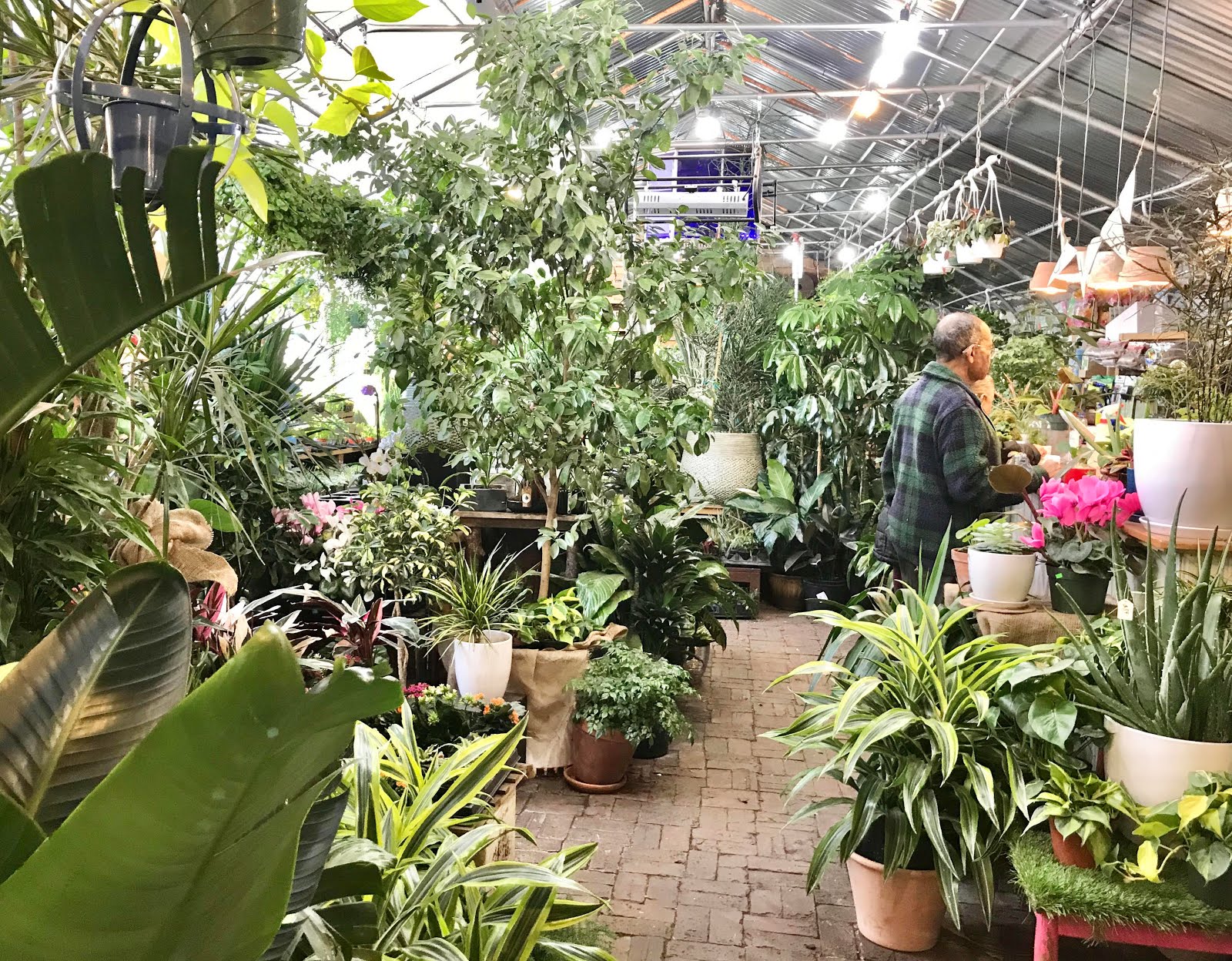 H A R L E M + B E S P O K E: BESPOKE: THE URBAN GARDEN CENTER GREENHOUSE