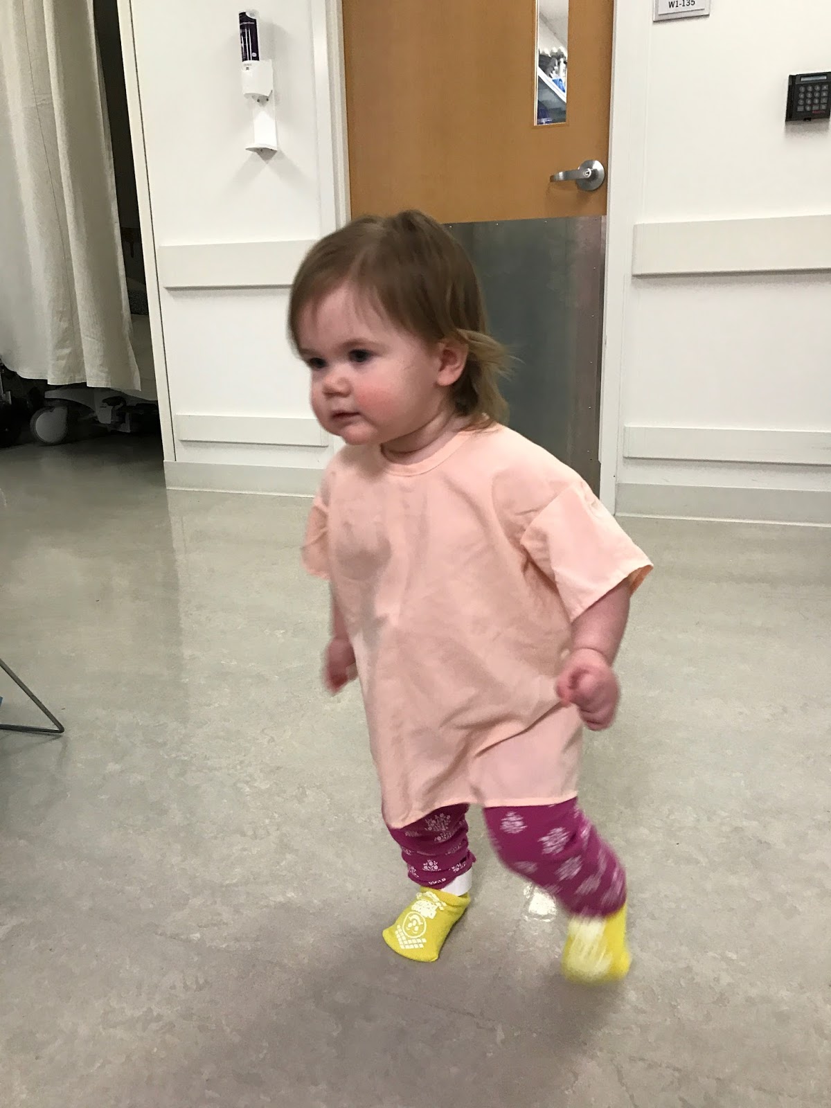 BABY KAUFMAN ADVENTURES