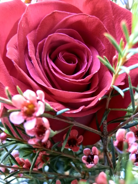 Todolwen (see new blog at www.todolwen.ca)