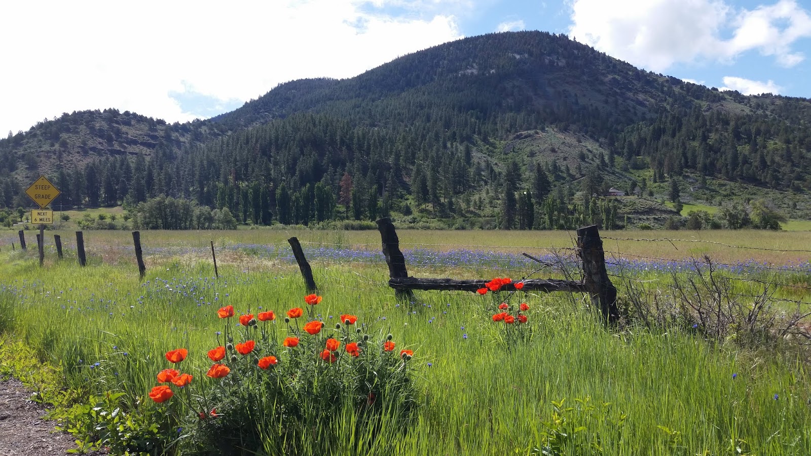 Wes' Travels to California Lakes: Goose Lake - Modoc County, California