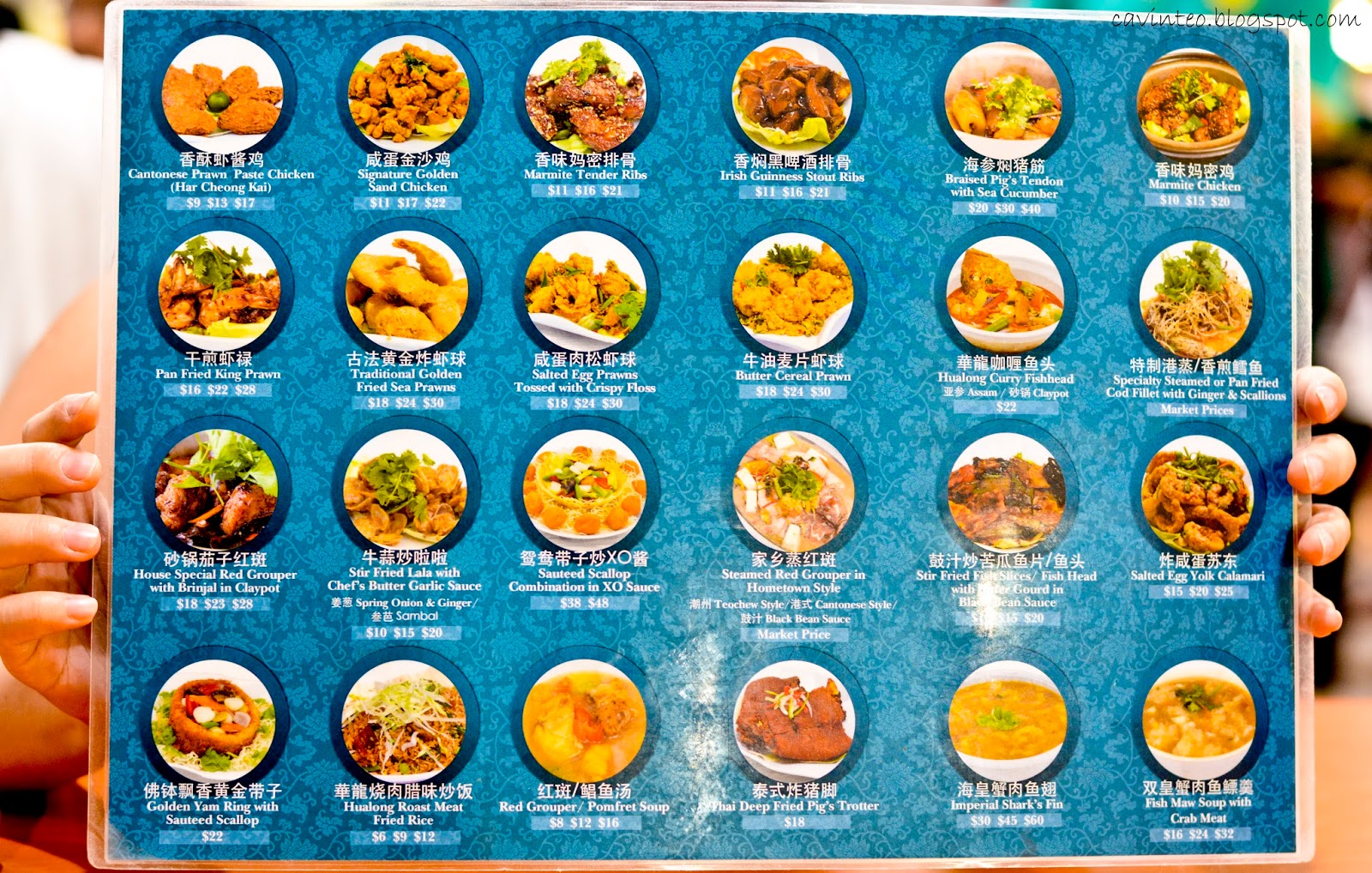 Entree Kibbles: Hualong Fishhead Steamboat & Tze Char (華龍魚頭爐，煮炒) @ 347 ...