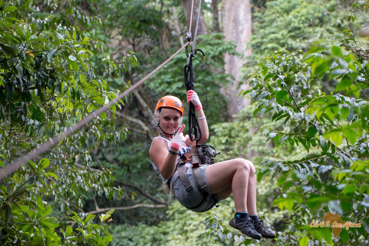 Africa's best safari forest adventure! - Africa safari News