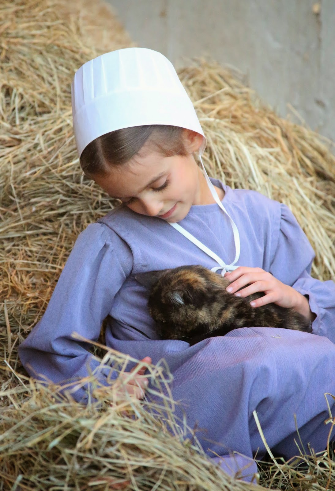 It's a Beautiful Life!: An Amish Photoshoot