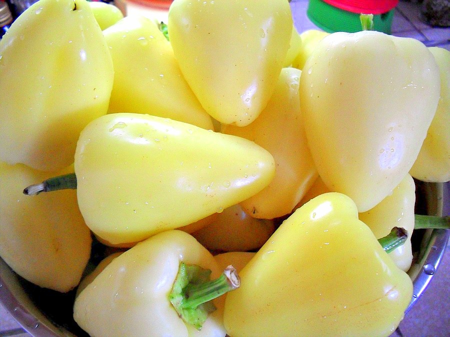 Gaga u kujni: Somborka u turšiji