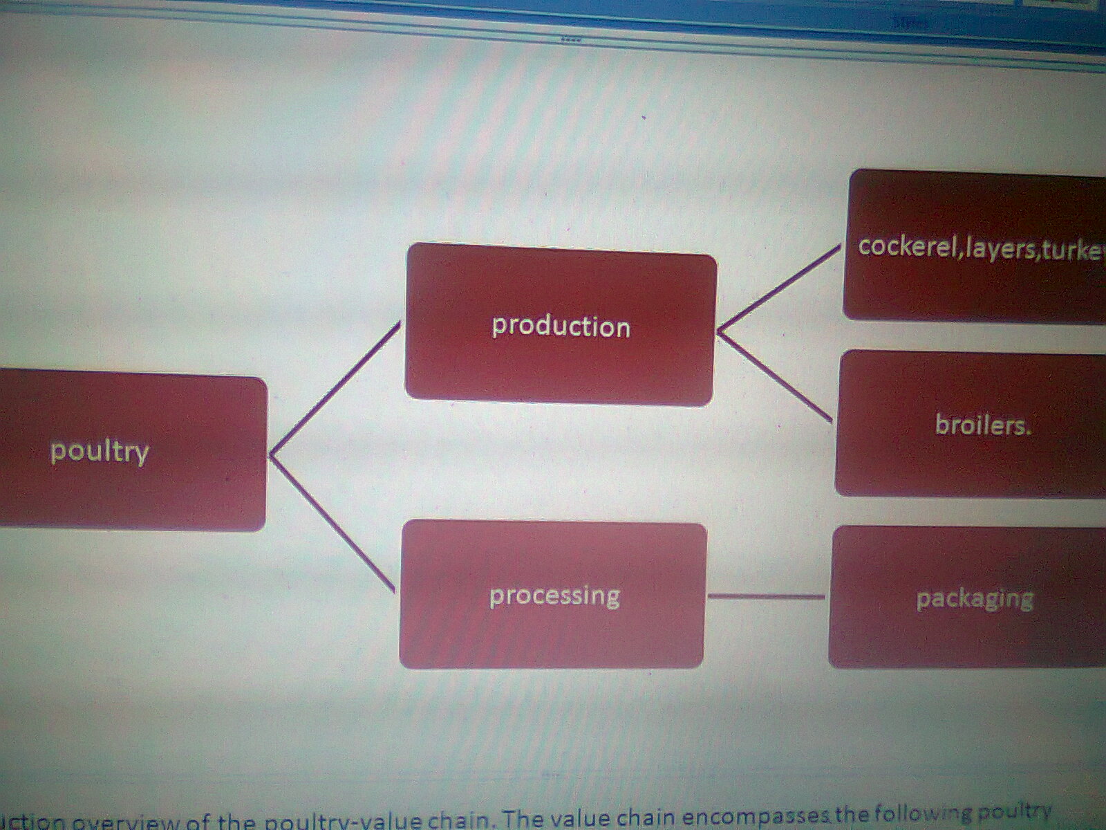 AGRO-VETERINARY BUSINESS .: INVESTING IN POULTRY VALUE CHAIN.