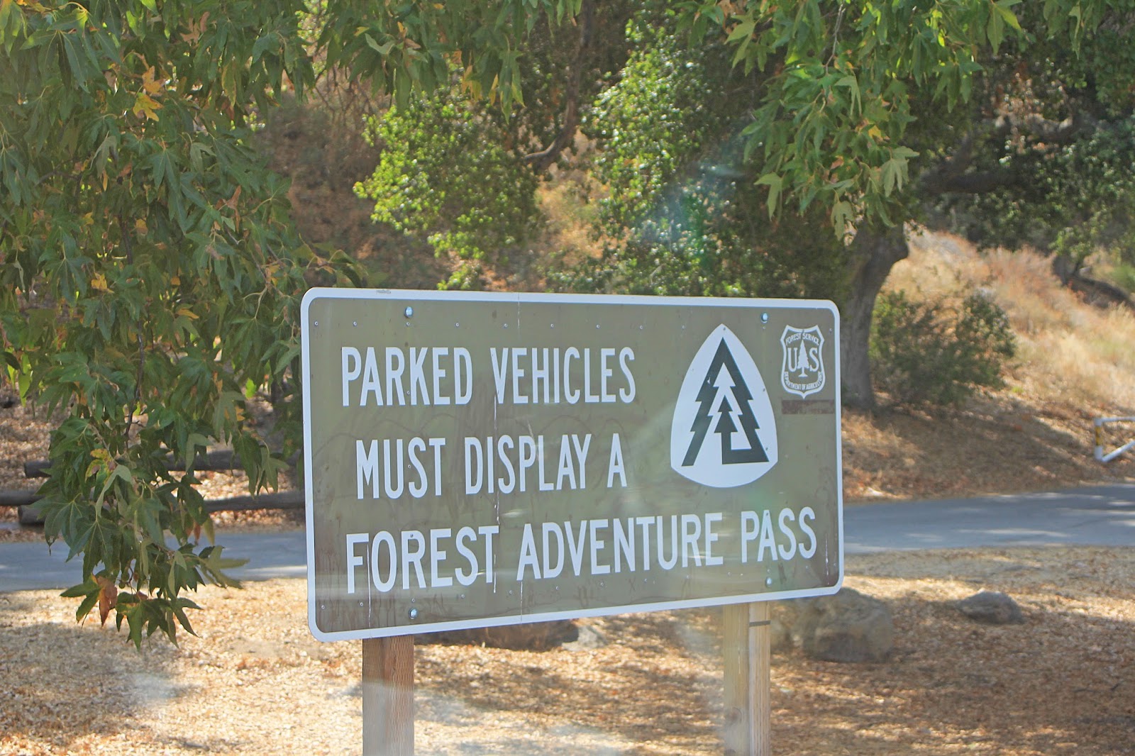 Western Sojourns: Travels with Camissonia: DRIPPING SPRINGS CAMPGROUND ...