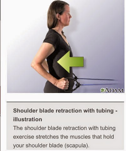 MyPhysiocare - Physiotherapy patient education: prevention and ...